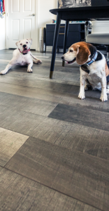 Kronos 2 « Interceramic